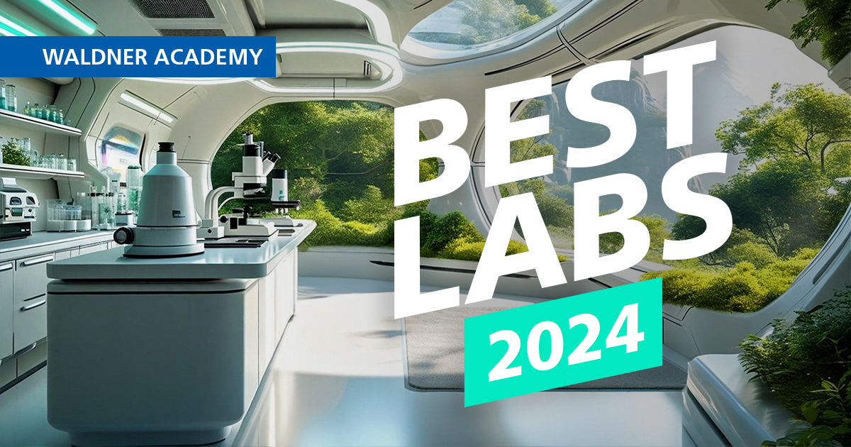 Best Labs 2024