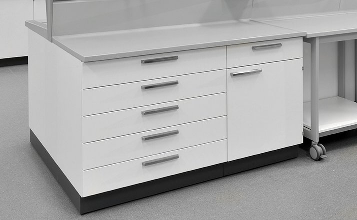 Lab Cabinets for Organized Labs – buy from Waldner